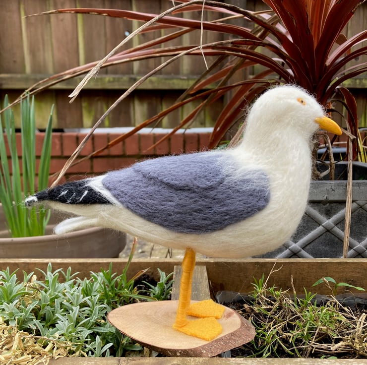 Seagull sculpture, needle felted woollen model - Folksy