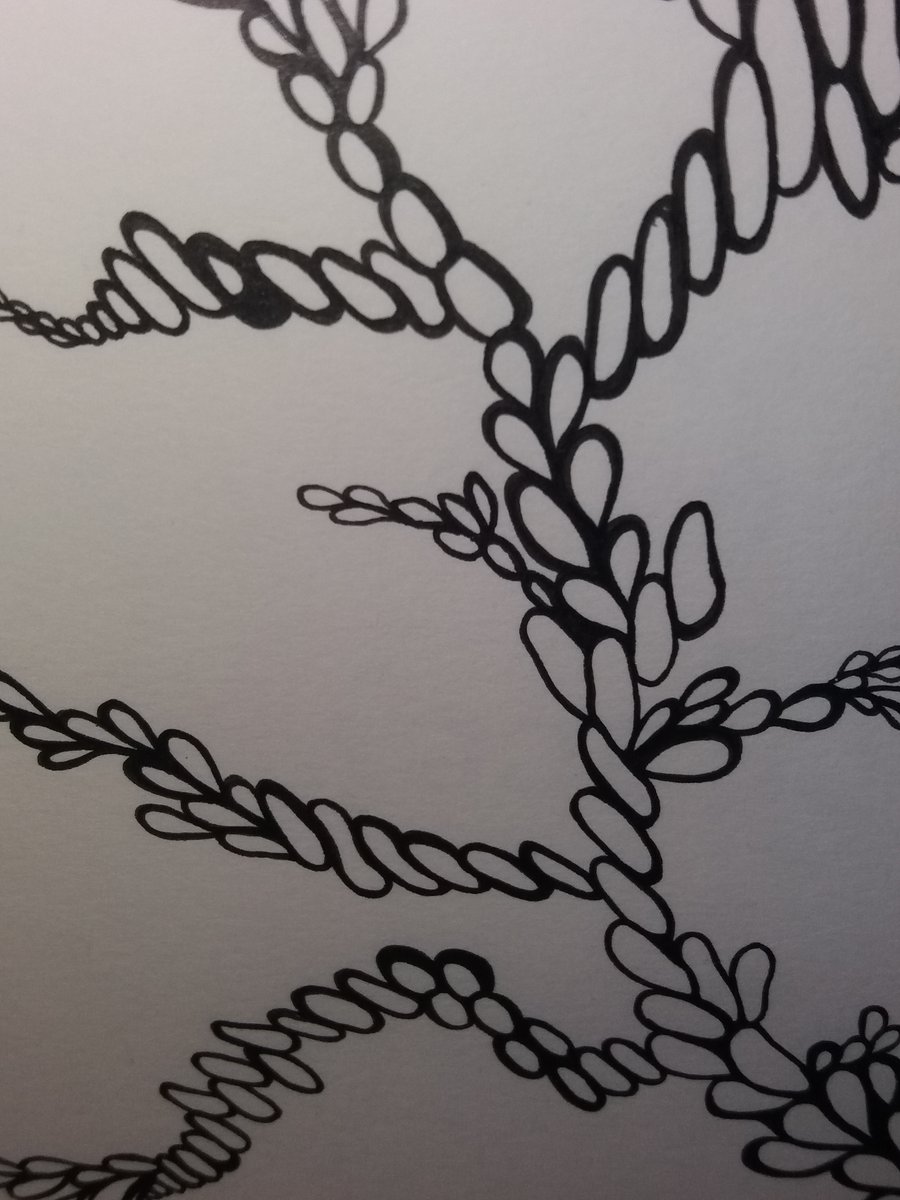 Seaweed pebbles - original black and white ink ... - Folksy