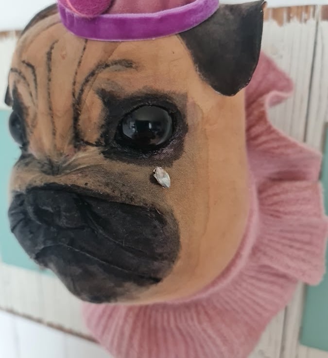 Handmade circus pugly faux taxidermy - Folksy