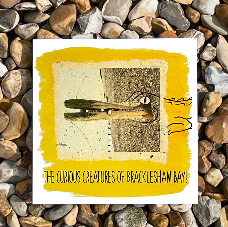 Croc; greetings card, blank inside, printed on ... - Folksy