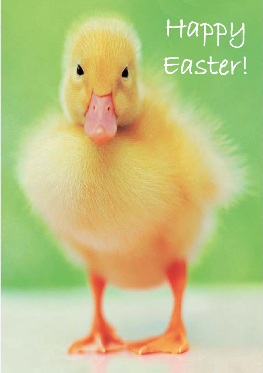 Easter card, Cute chick - Folksy