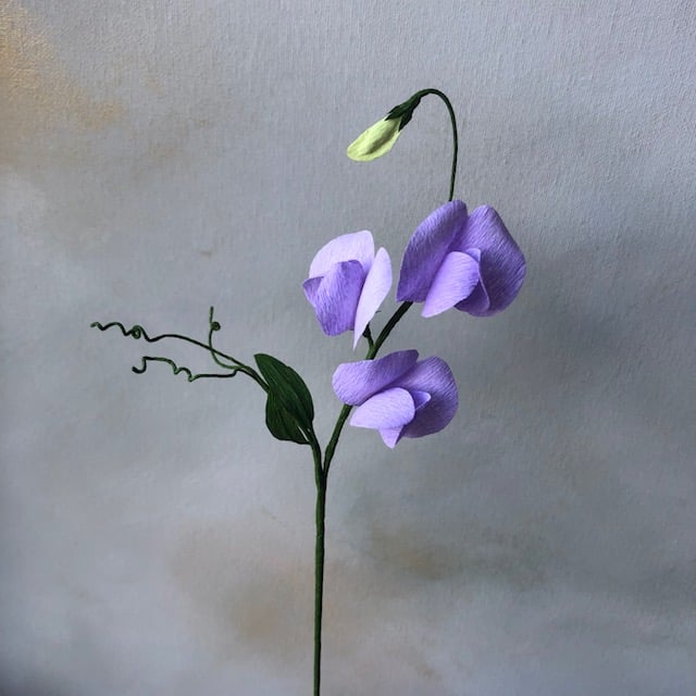Paper flowers - sweet pea - Folksy