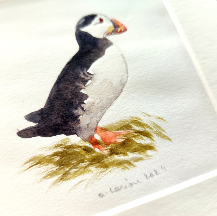 Puffin - Original Watercolour Painting - Folksy