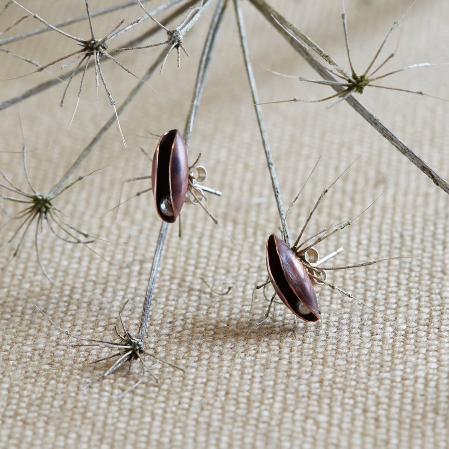 Copper Seed Pod Studs - Folksy