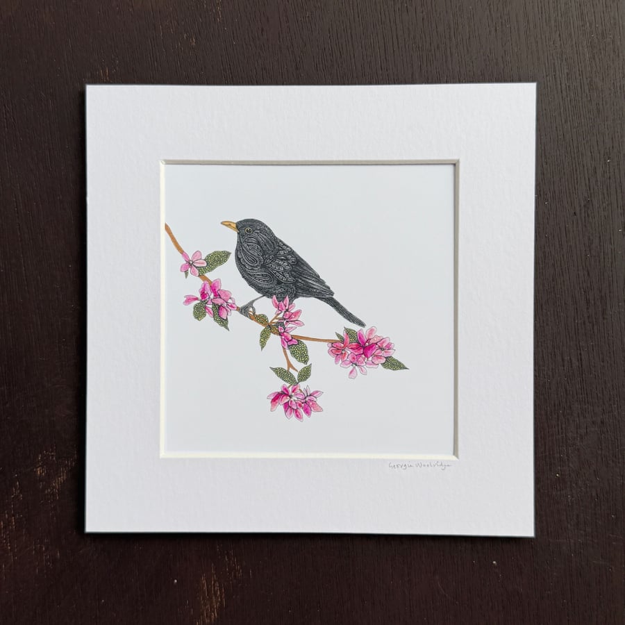 'Blackbird' 8" x 8" Mounted Print - Folksy