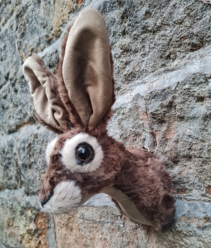 Faux Hare Head - animal replica- Mr Harvey - Folksy