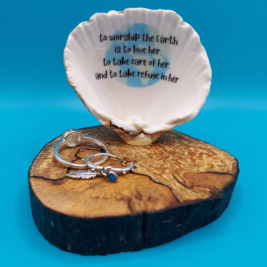 inspiring quote inside seashell on beautiful sp... - Folksy