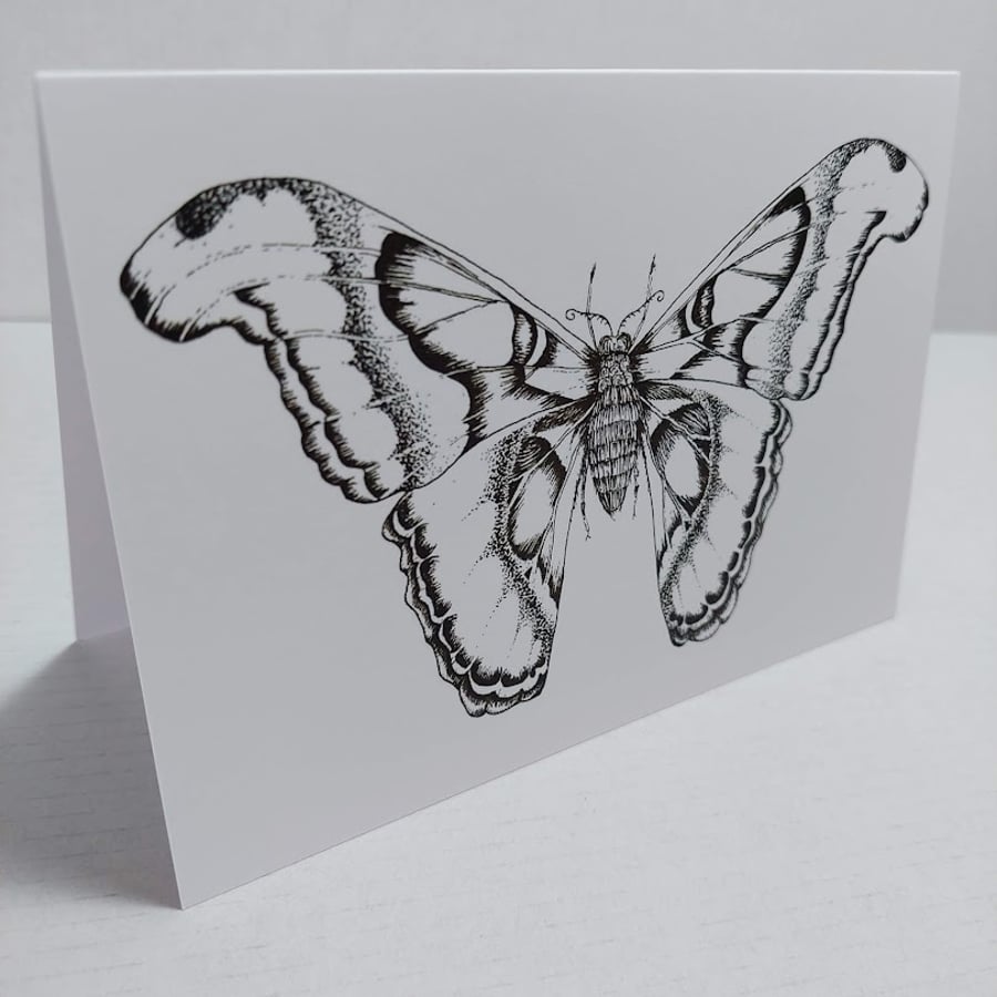 Atlas Moth Illustration Greetings Card - Folksy