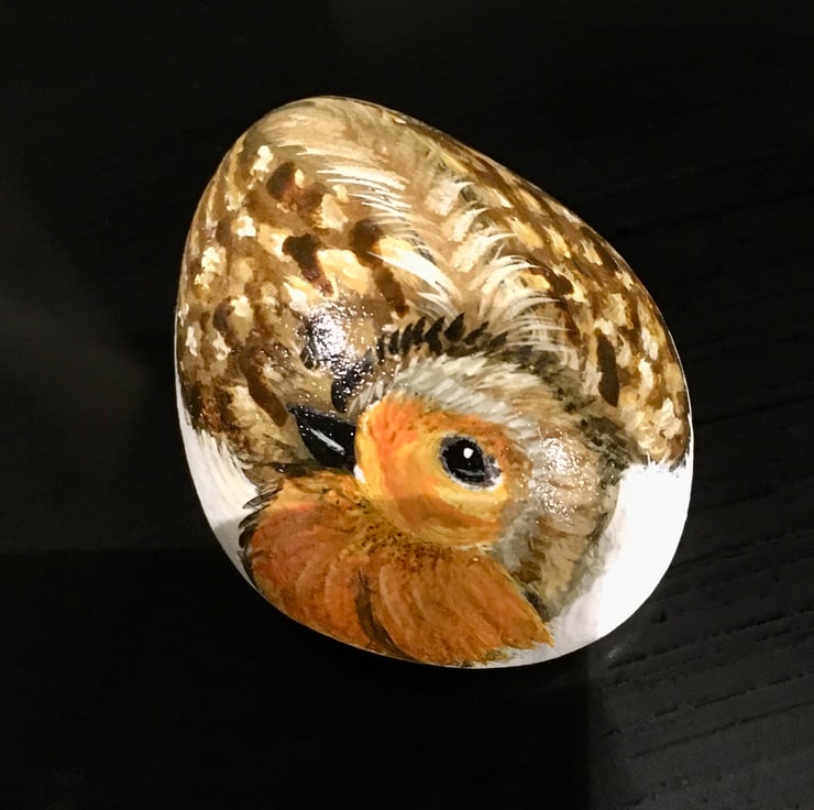 Robin hand painted pebble garden rock art wildl... - Folksy