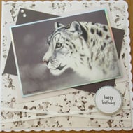 Snow Leopard - 8x8" Birthday Card - Folksy