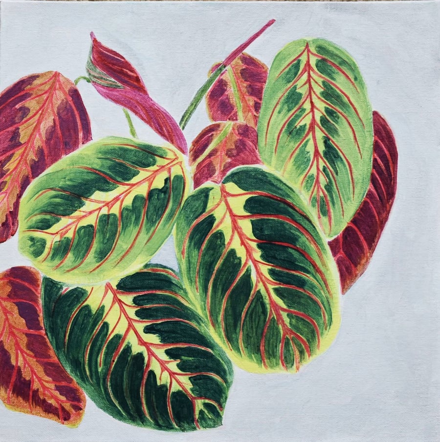Calathea Leaves - Original acrylic painting - Folksy