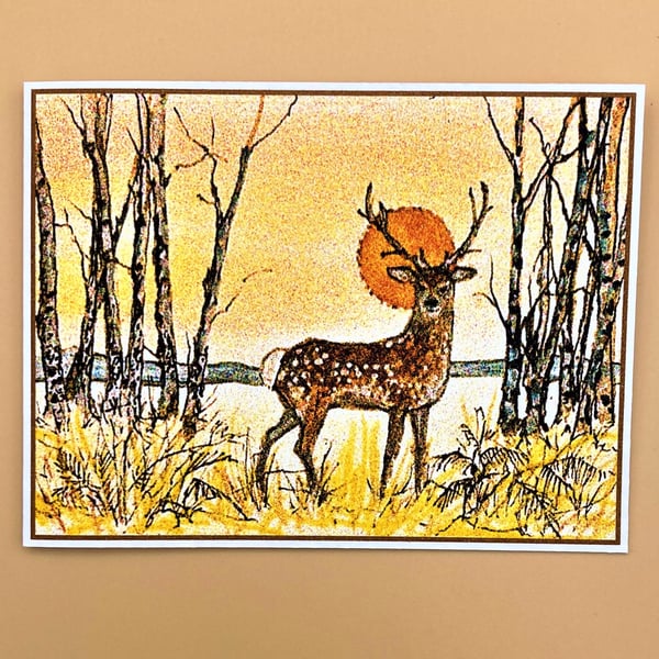 Greetings card, Fallow deer at sunset, landscap... - Folksy