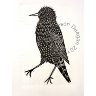 Original lino cut print Mister Starling - Folksy