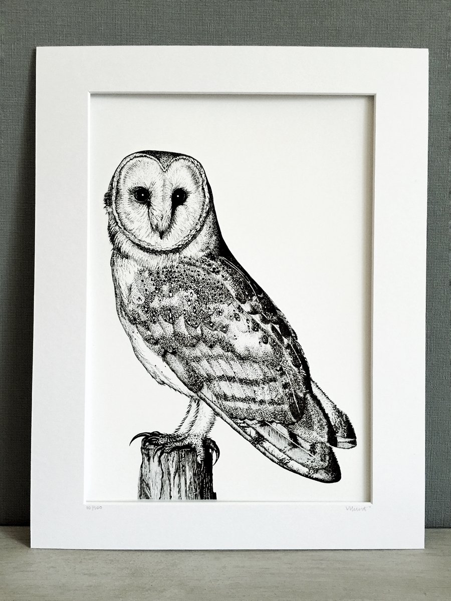 Barn Owl - From an Original Ink Drawing NEXT DA... - Folksy