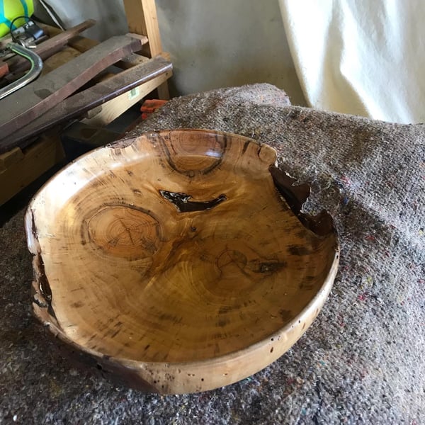 Large live edge display fruit bowl - Folksy
