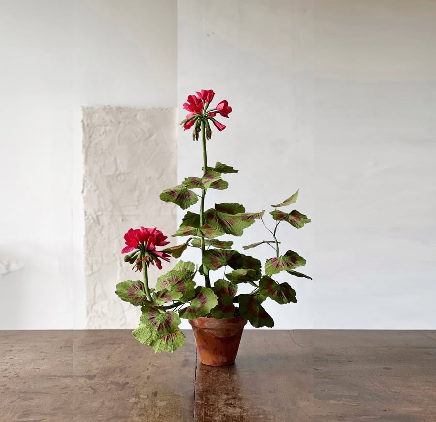 Large Crimson Paper Geranium Plant for Mother's... - Folksy