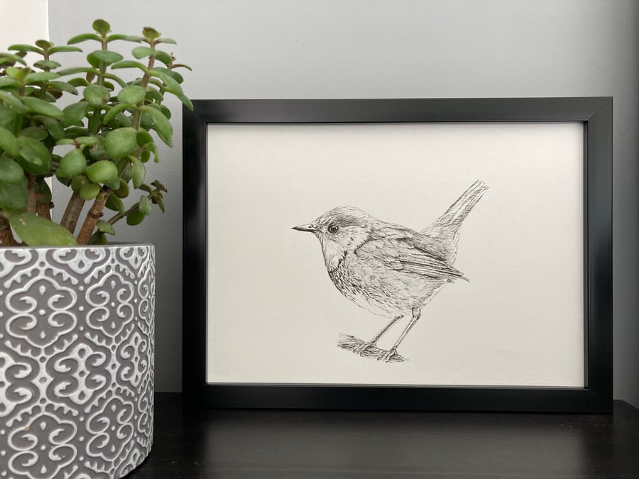 A4 Robin Pen and Ink drawing ORIGINAL - Folksy