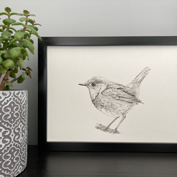A4 Robin Pen and Ink drawing ORIGINAL - Folksy