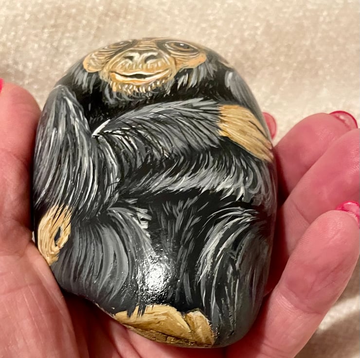 Monkey hand painted pebble garden rock art wild... - Folksy
