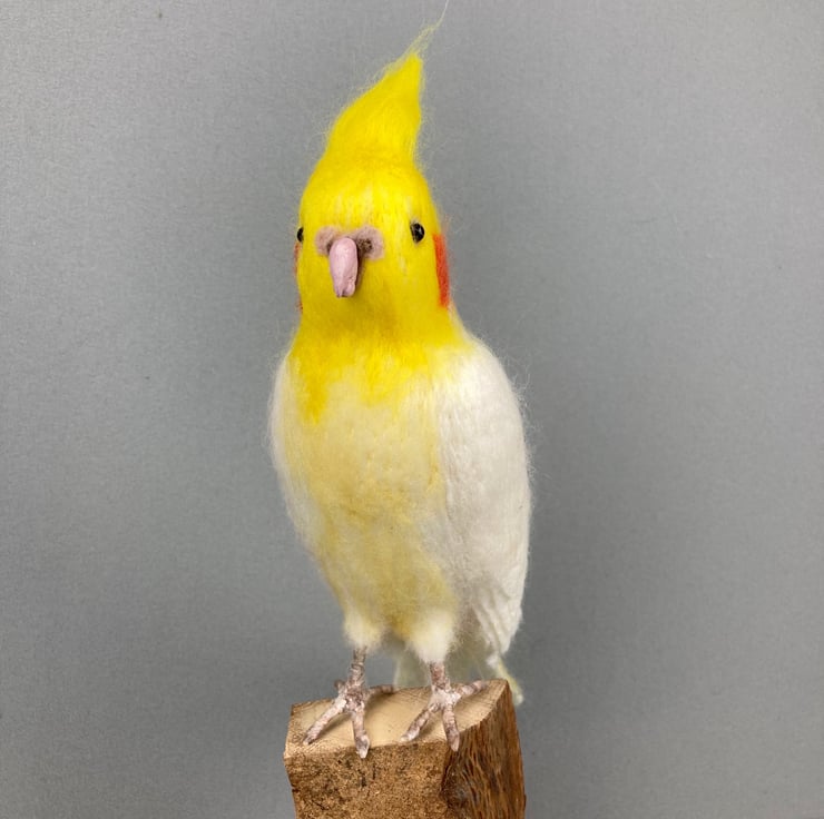 White needle felted cockatiel - Folksy