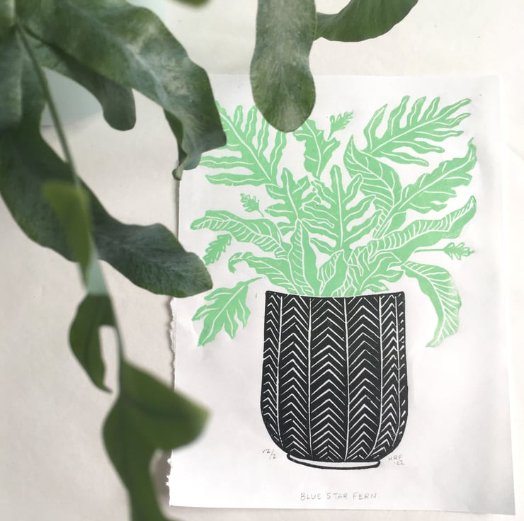 Fern lino print - blue star fern linocut art, m... - Folksy