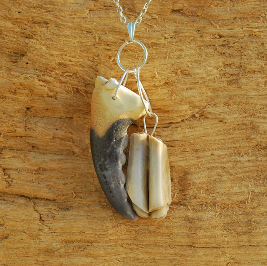 Tooth and claw pendant - Folksy