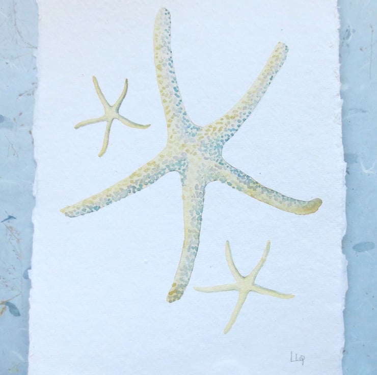 Original starfish watercolour painting seaside ... - Folksy