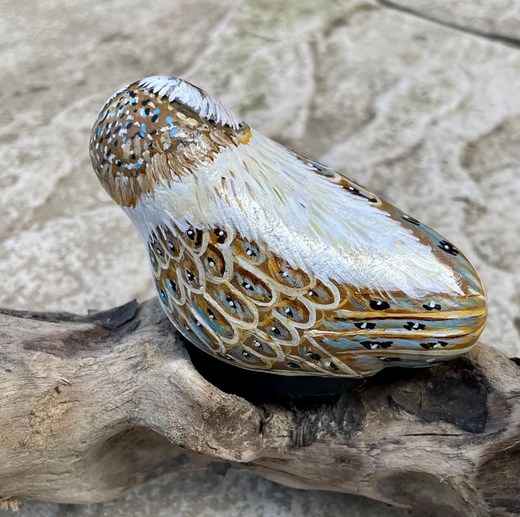 Barn owl painted rock garden stone pebble painting - Folksy