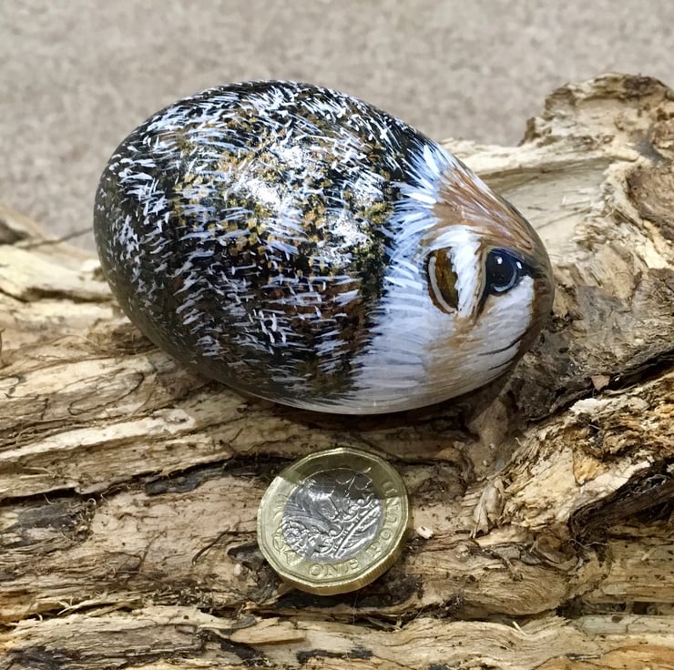 Hedgehog painted pebbles garden rock art wildli... - Folksy