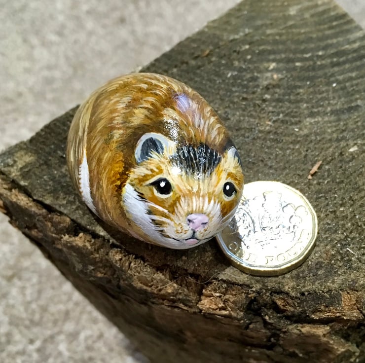 Hamster hand painted pebble garden rock art pet... - Folksy