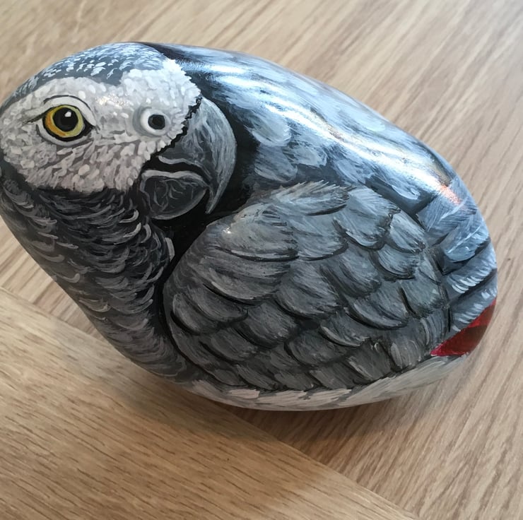 Grey Amazon parrot painted pebble garden rock a... - Folksy