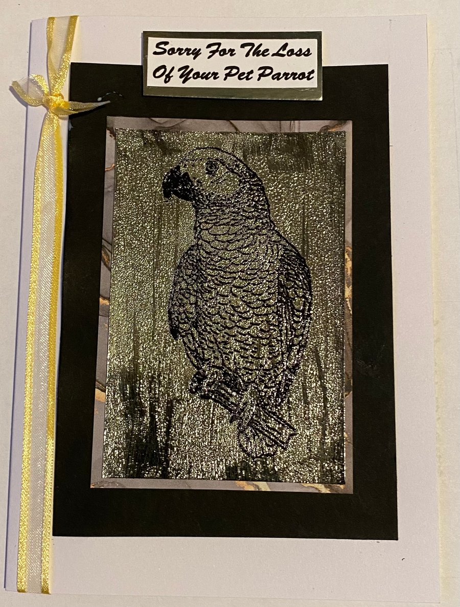 Pet Parrot Sympathy Card - Folksy