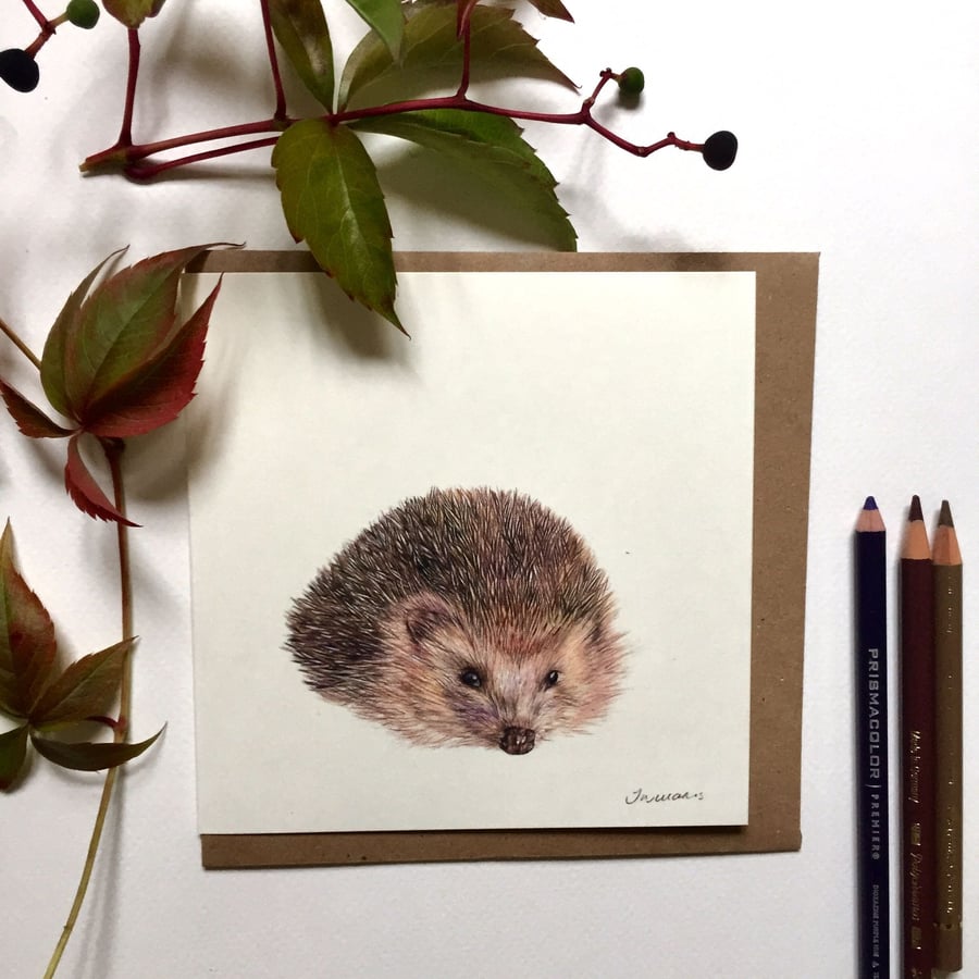 "Hedgehog" Blank Greeting Card - Folksy