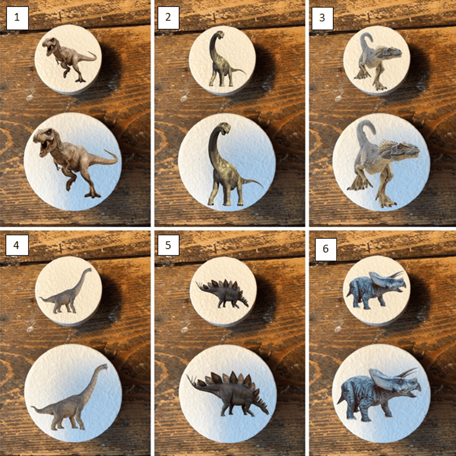 Handmade Dinosaur Jurassic pine door knobs ward... - Folksy