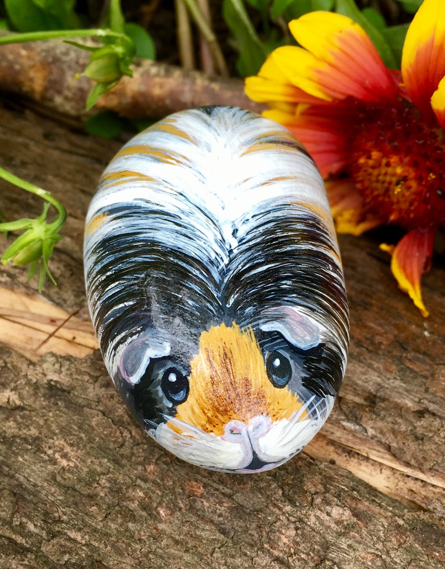 Guinea pig hand painted pebble pet portrait - Folksy