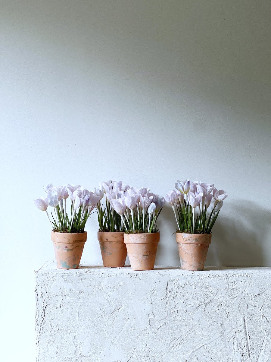 Crocus Paper Flowers for Mother's Day Gifts - Folksy