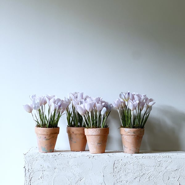 Crocus Paper Flowers for Mother's Day Gifts - Folksy