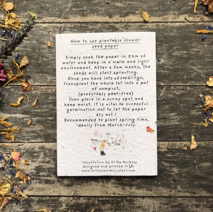Plantable Seed Paper Birthday Card, Floral Note... - Folksy