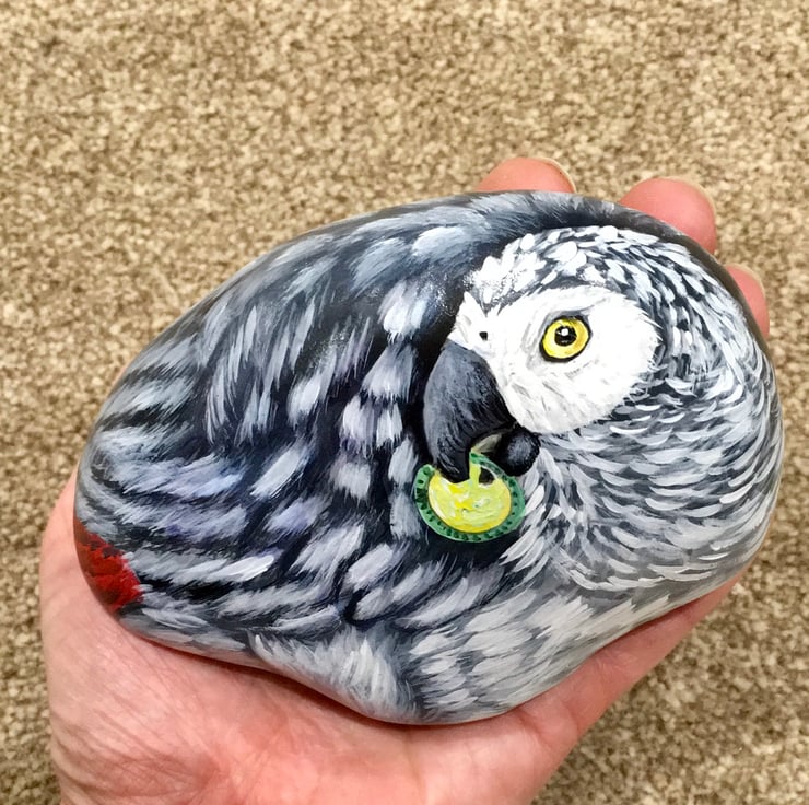 African grey parrot painted pebble garden rock ... - Folksy