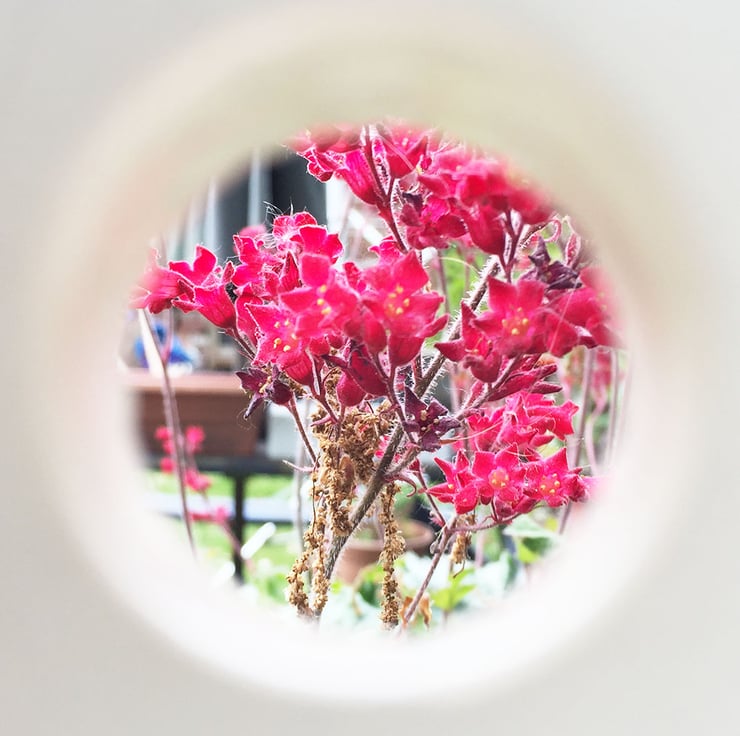 Pottery Camera decoration ceramic camera (reduc... - Folksy