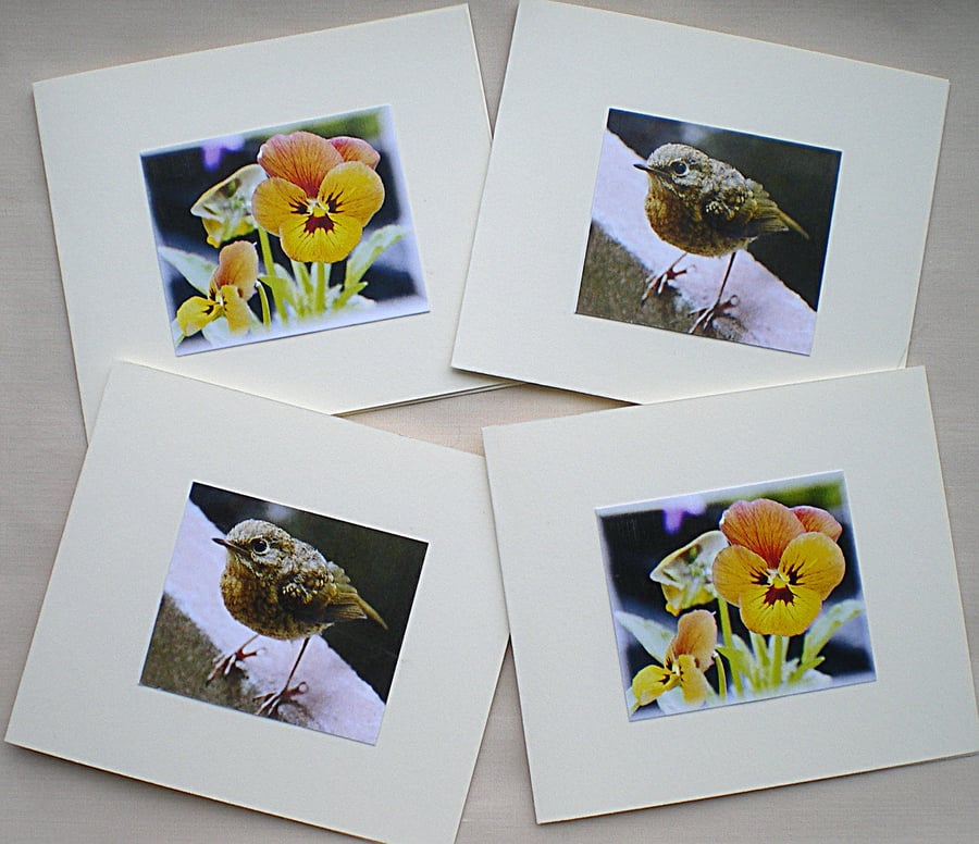 Note cards,Set of notelets,Robin,Thank you,Get ... - Folksy