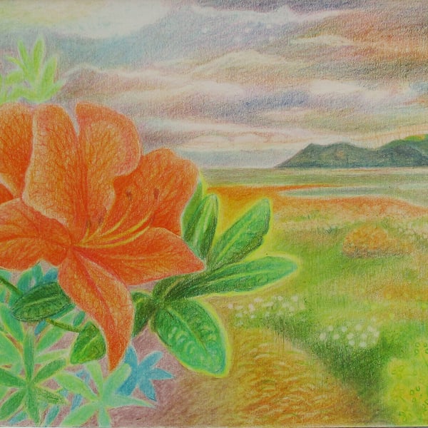 Rhododendron, Skipness Beach - Original Coloure... - Folksy