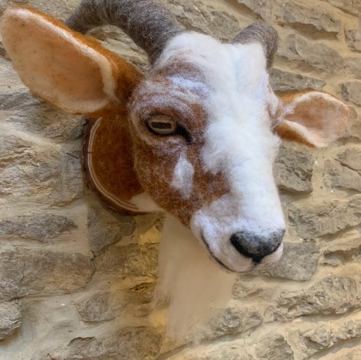 Handmade Faux Taxidermy Goats Head - Folksy