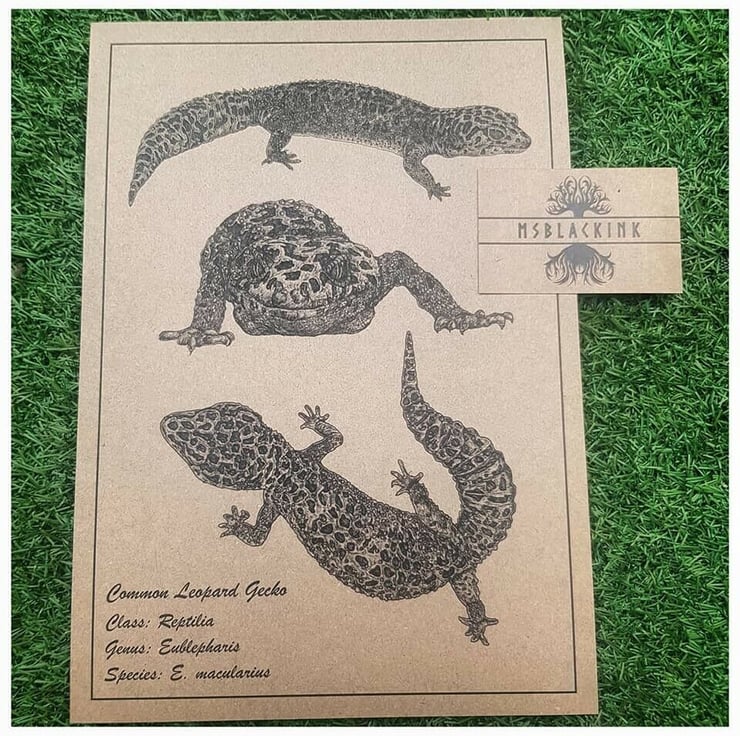 Common Leopard Gecko A4 Limited Edition Signed ... - Folksy