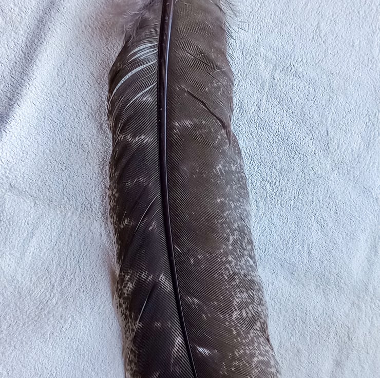 Beaded Prayer smudging feather wild Turkey spir... - Folksy