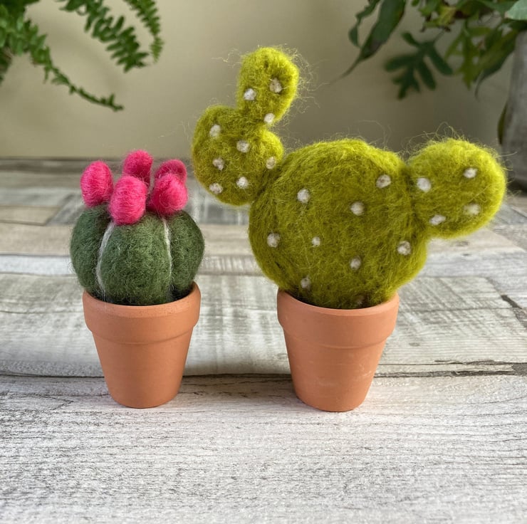 Needle felting kit - Cacti - wool craft project... - Folksy
