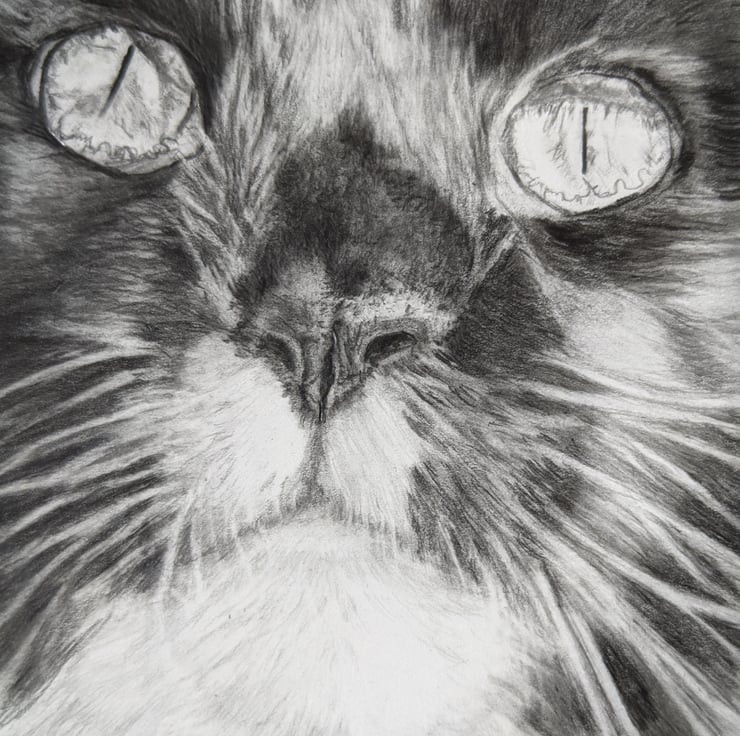 Pet portrait commission, personalised portrait,... - Folksy