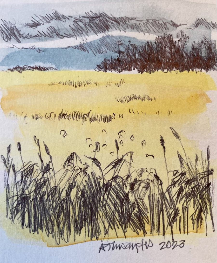 Barley field, mini watercolour painting - Folksy