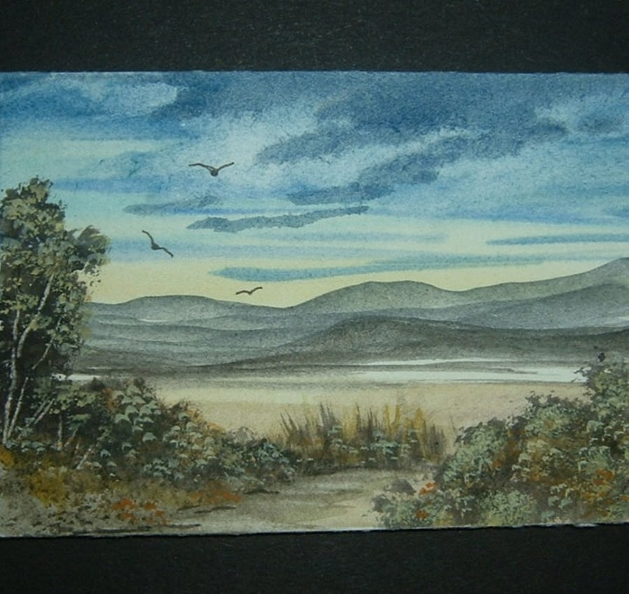 aceo painting art watercolour original ref 345 - Folksy