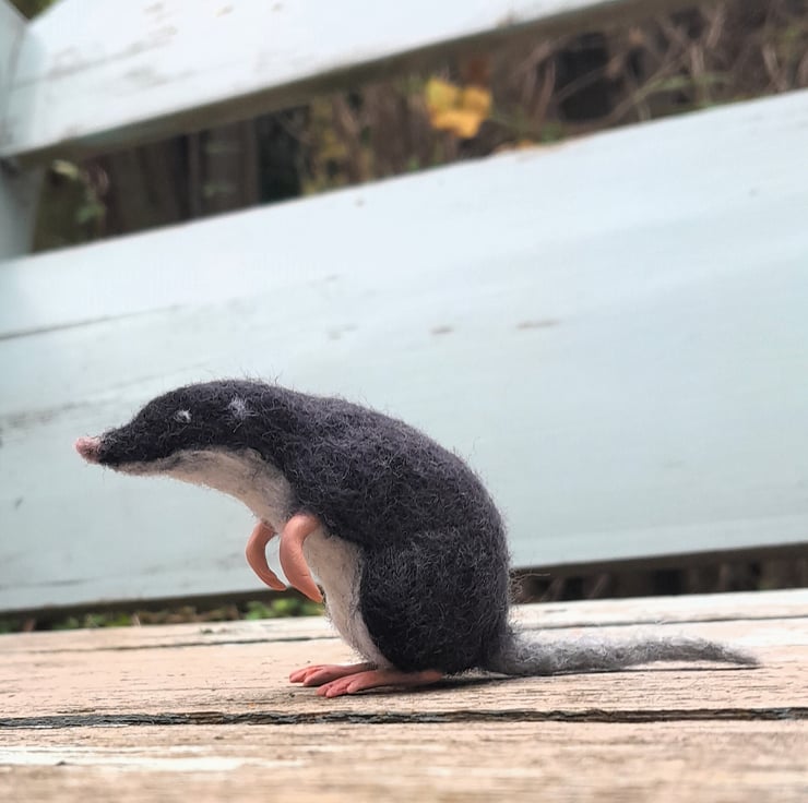 Water Shrew needle felted soft sculpture - Folksy